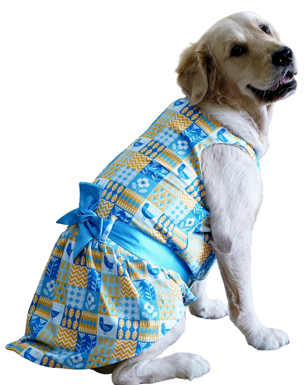 Dress » Doxters Lab